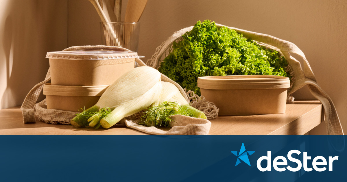 BRIQ Food Containers | deSter