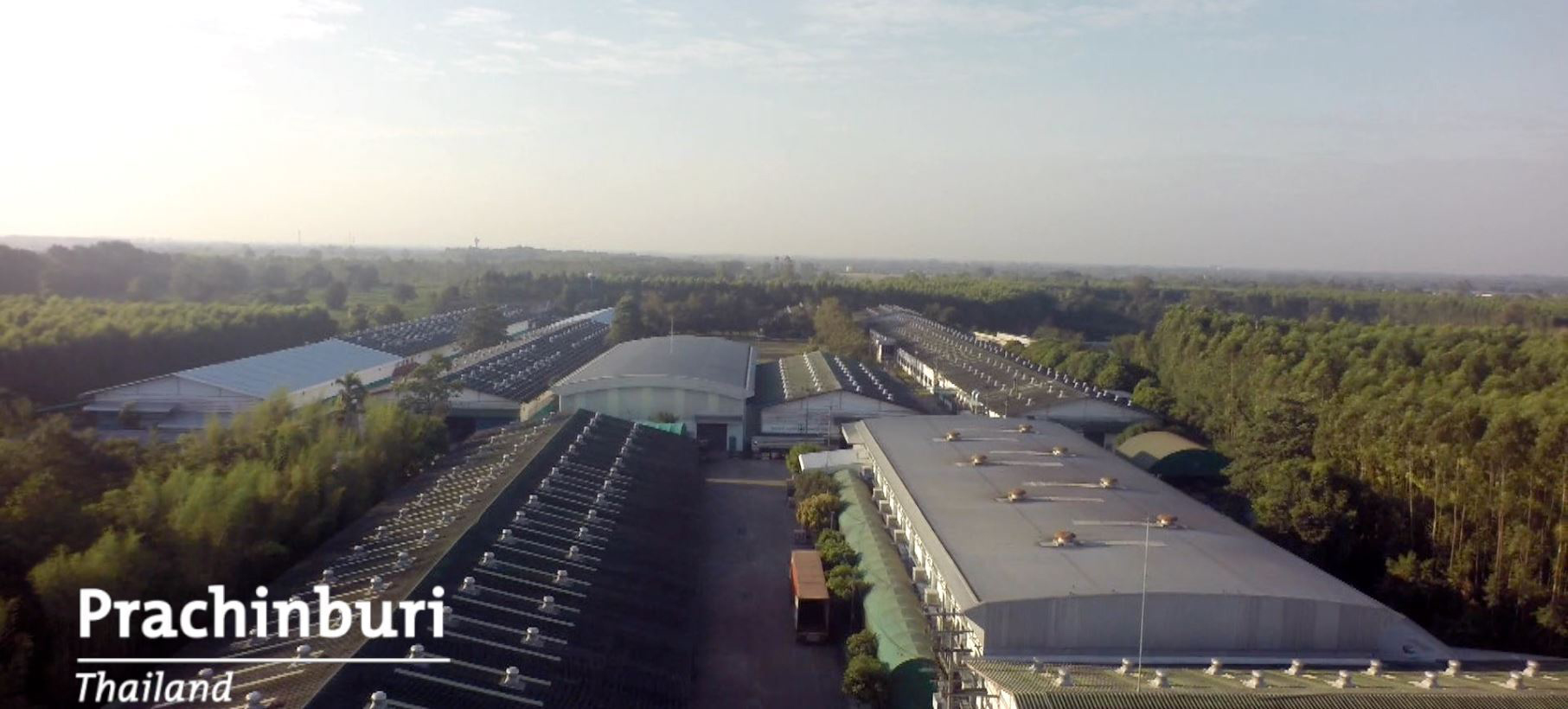 Thailand (PRB) Production Facility- Spotlight on deSter's Global ...